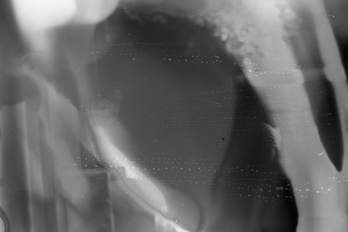 My First Roll... Of self-developed black and white film (Kodak T-Max ...